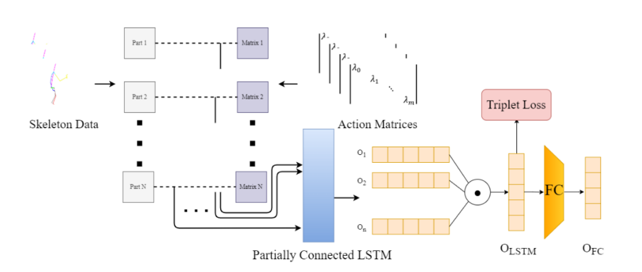 Skeleton-Based Action Quality Assessment via Partially Connected LSTM with Triplet Losses